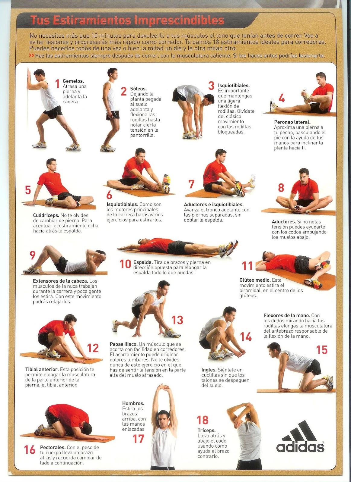 Pon un poco de Pilates en tu vida: TUS ESTIRAMIENTOS IMPRESCINDIBLES.