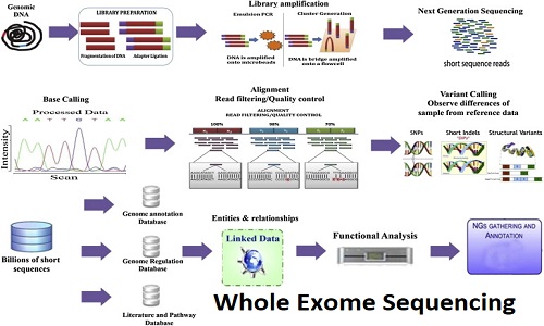 The New Era Of DNA Next Generation Sequencing
