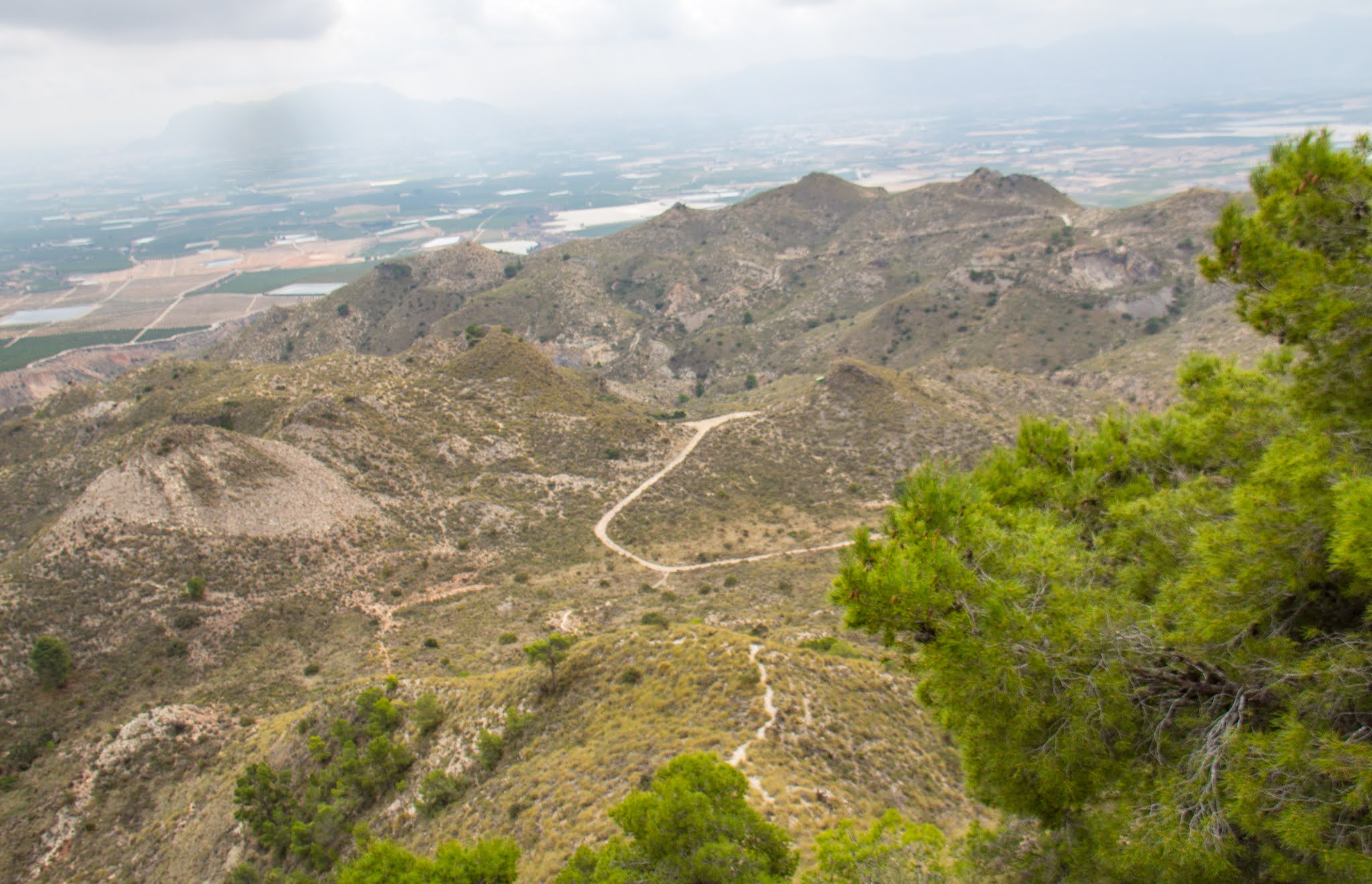 RUTA CIRCULAR AL CERRO DEL AGUDO DESDE BARBARROJA.