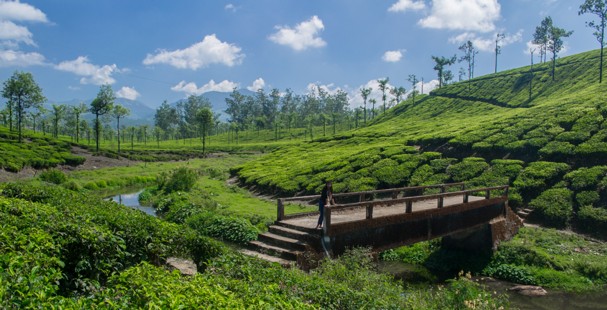 Kallidaikurichi - Town of Tamil Nadu - Touriedz