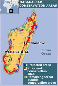Madagascar Forests and Shrublands