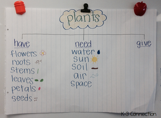 K-3 Connection: Plants, Plants, Plants!