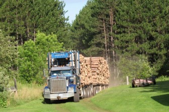 The Rural Blog: Northern Michigan logging and wood products industry in ...