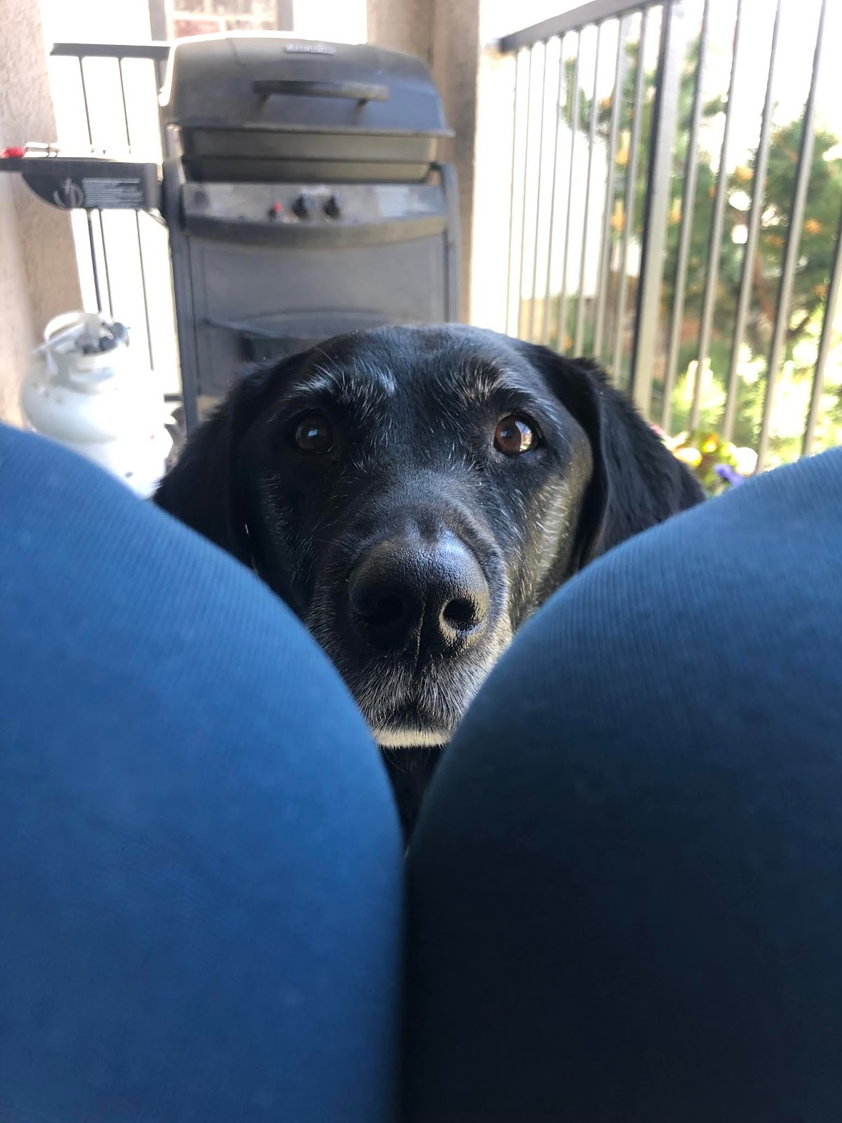 A New Day: June 2019