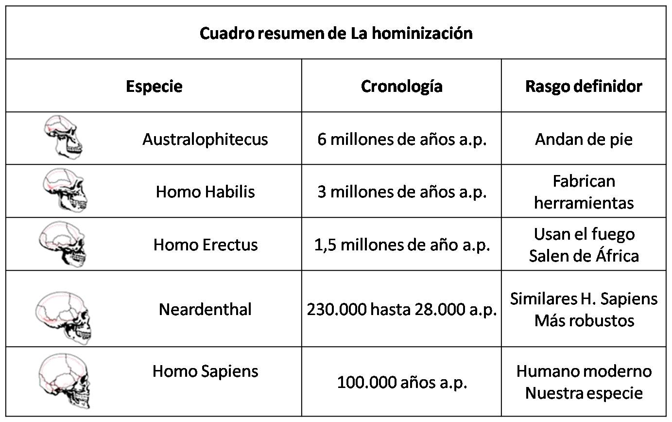 Linea De Tiempo Del Proceso De Hominizacion Timeline Linea De Tiempo Del Proceso De Hominizacion Timeline
