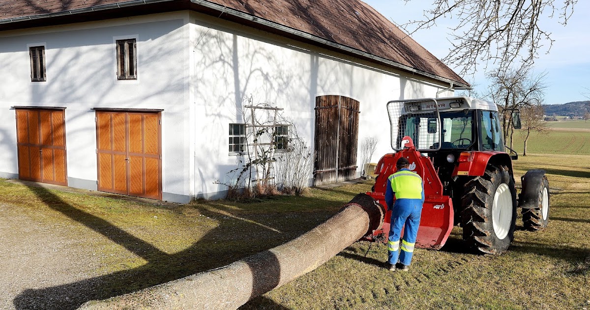 Recht kurz gefasst: Betriebsgefahr nach § 7 StVG bei Baumfällarbeiten ...