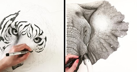 Design Stack: A Blog about Art, Design and Architecture: Animal ...