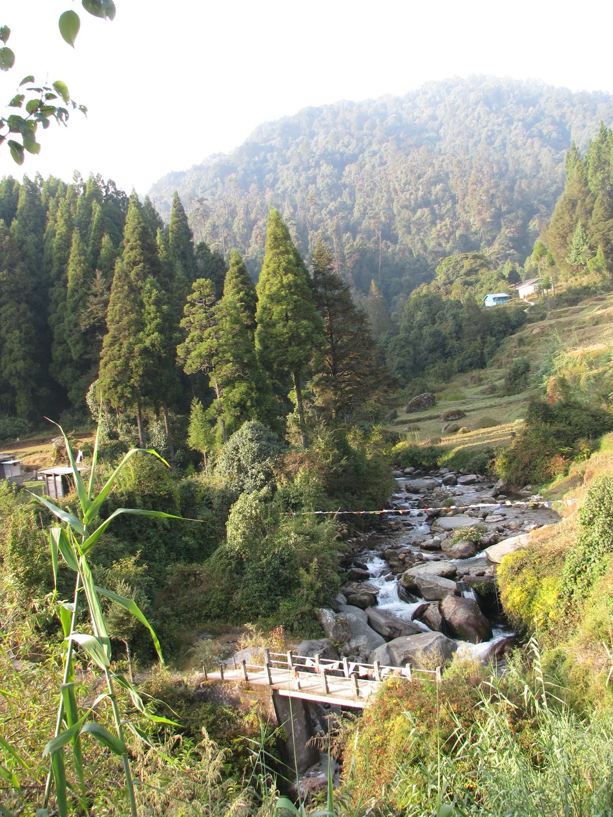 From My Travel Diary: Gorkhey - Srikhola - Darjeeling