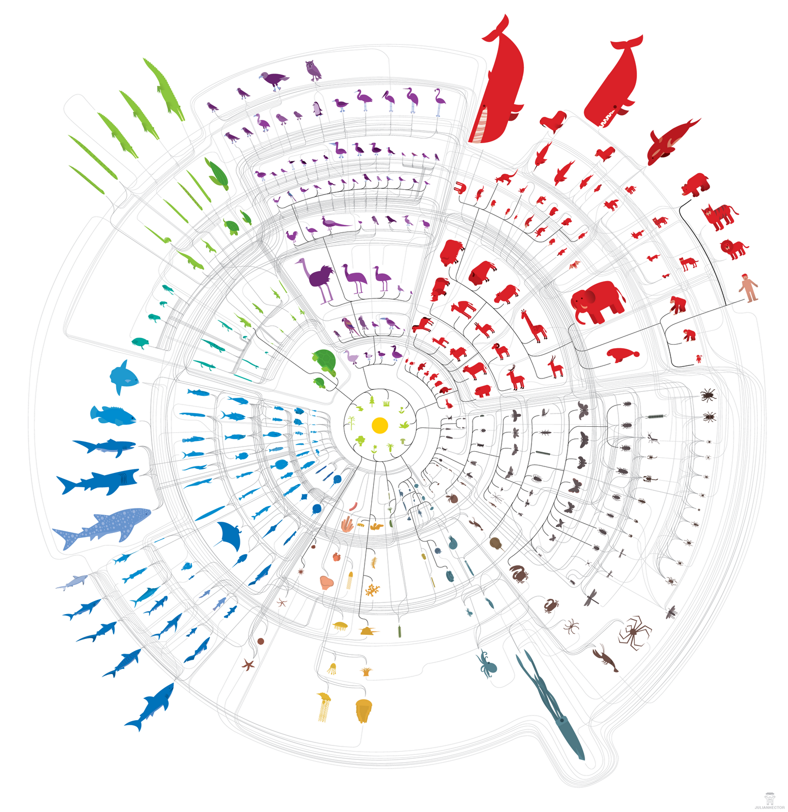 JULIANHECTOR: Who Eats Who? - A Food Web