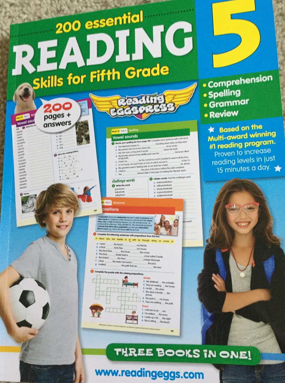 Mom of Many: 200 Essential Reading Skills for Fifth Grade from Reading ...