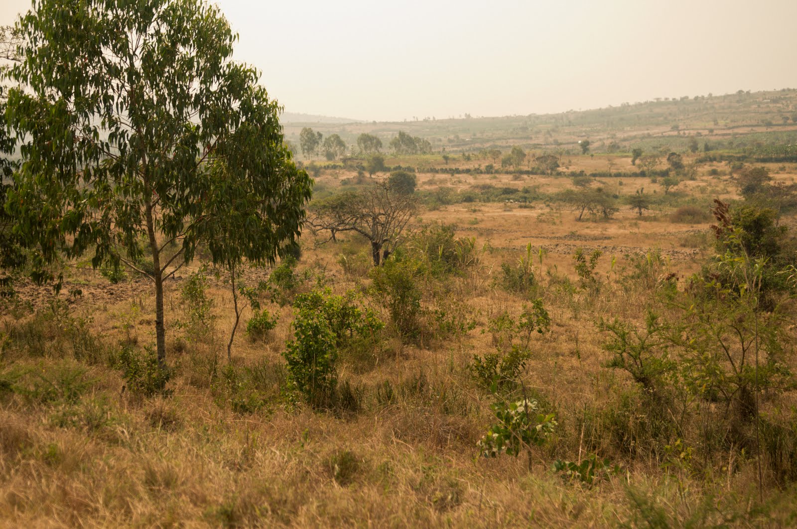 life & love: Mutara, Rwanda: Part 1