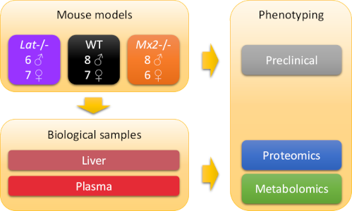 News in Proteomics Research: ProMetIS -- an R package to combine proteomic, metabolomic and ...