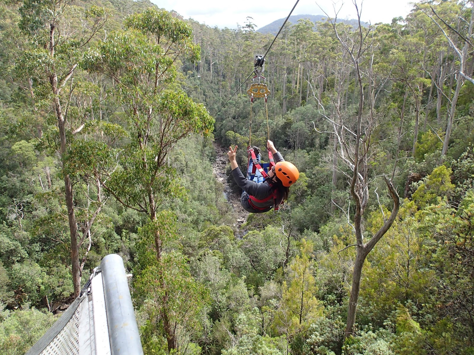 畏高的我在塔斯曼尼亞玩鋼索飛行 Zipline in Tasmania