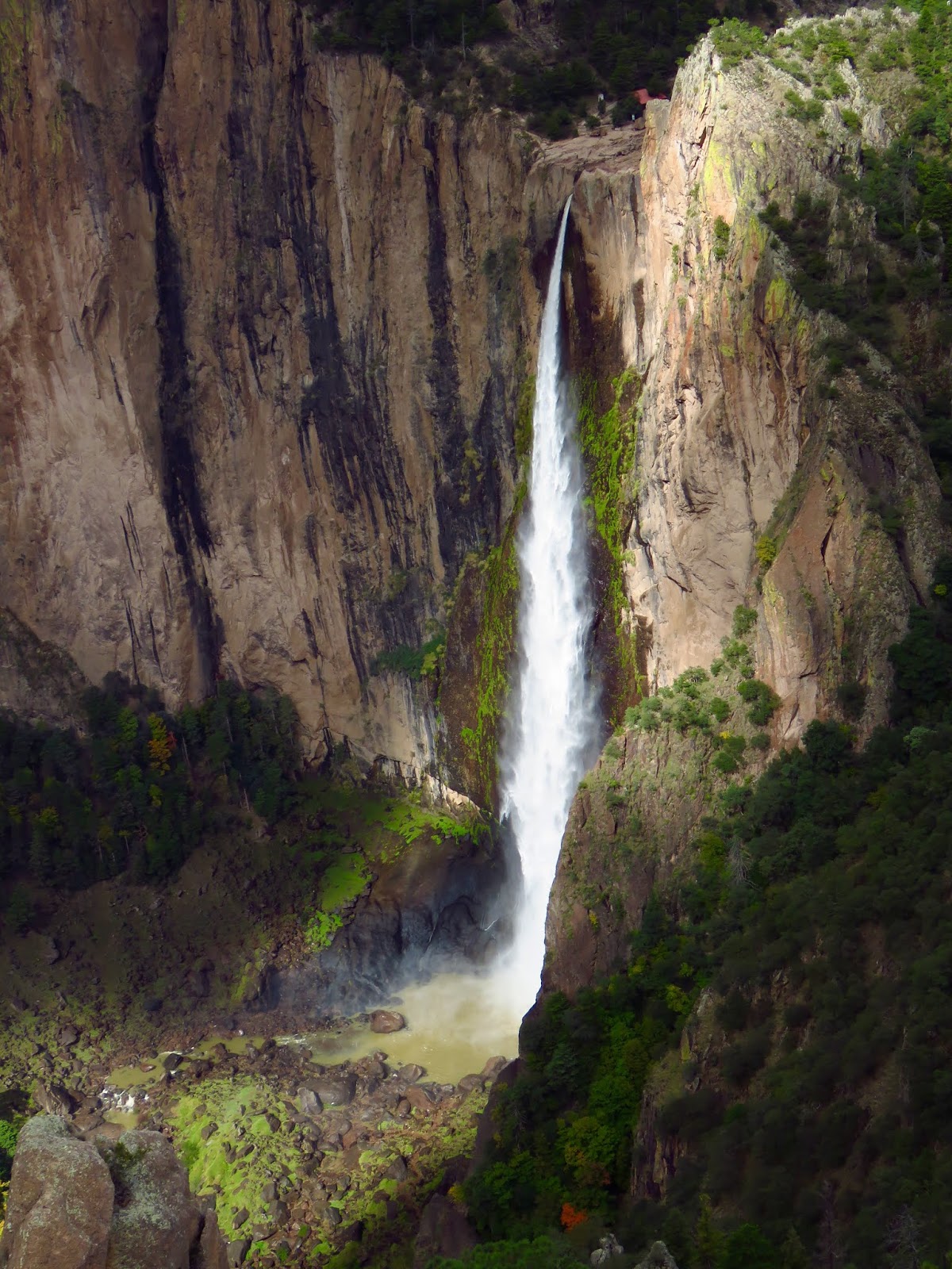 Wandering w/ Serenity: Basaseachi Falls