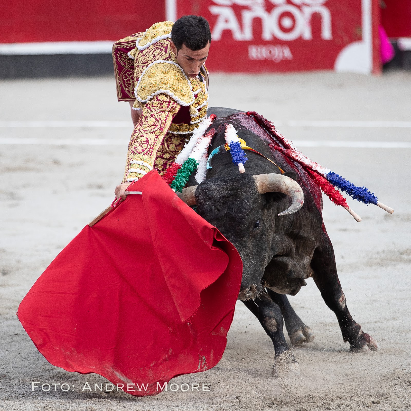 Del toro al infinito: Los toros de Azpeitia en el objetivo de Andrew ...