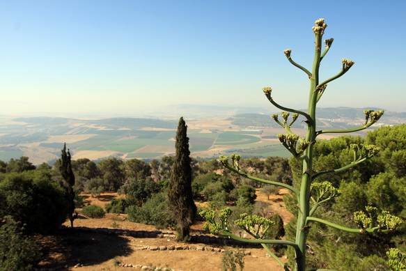 z aparatem w świat: Góra Tabor