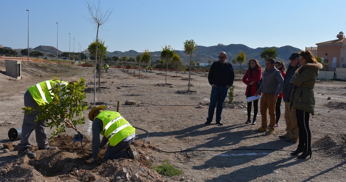 Águilas Radio: Avanza la creación de un cinturón verde en el entorno de ...
