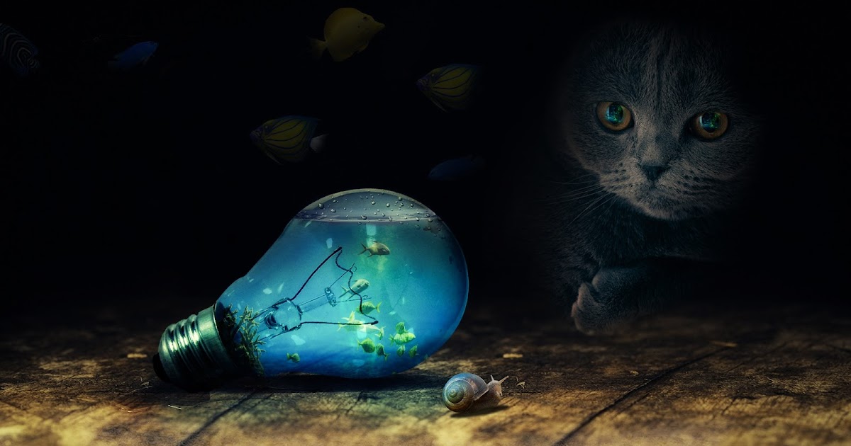 Imagination Photo Gallery