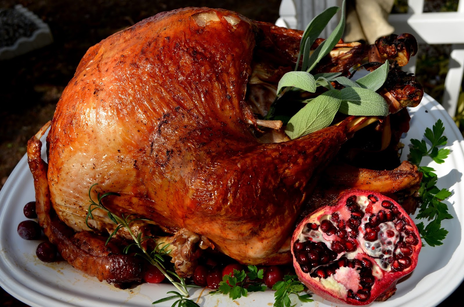 bebina kuhinjica: Pecena curka (pura)