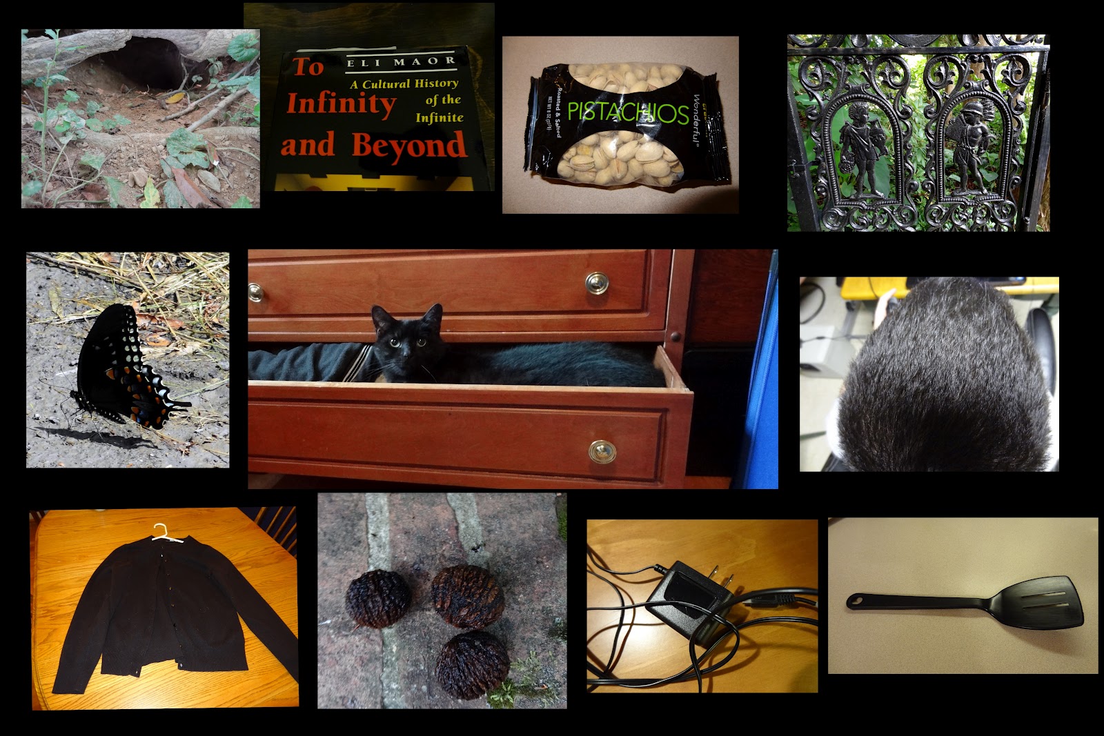 Live and Learn-Toss and Turn: I Spy Black