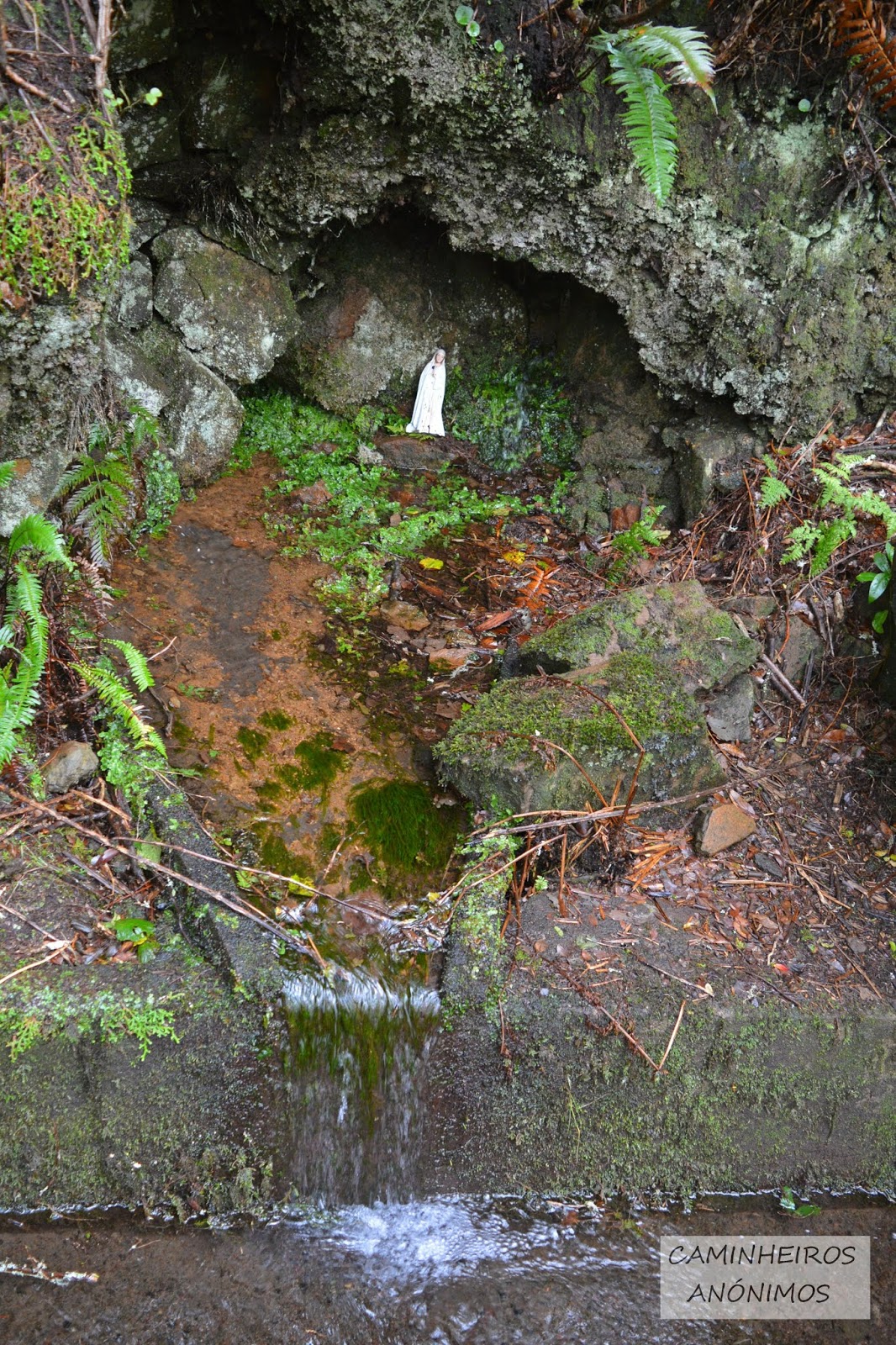 Caminheiros Anónimos Levadas da Madeira : Levada Grande do Paul (Calheta)