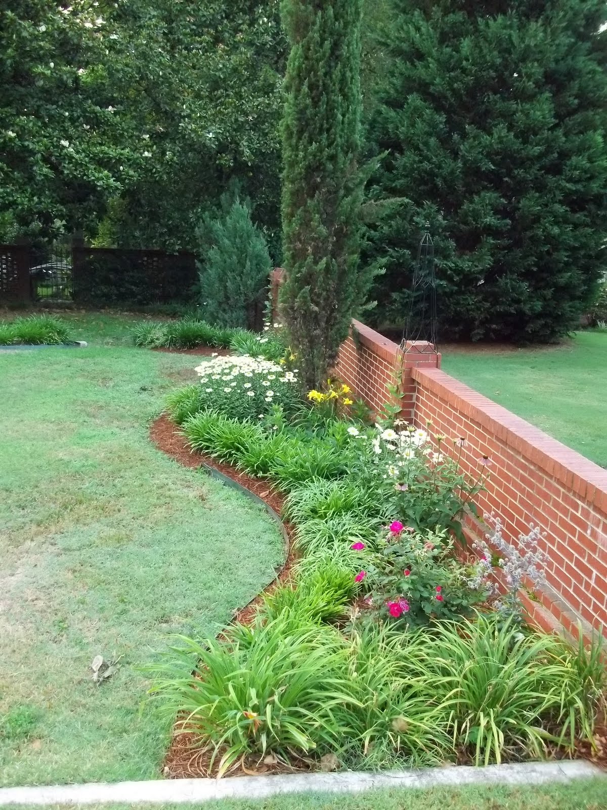 Pinewood Cottage Garden: Sunny Border - the first week of June