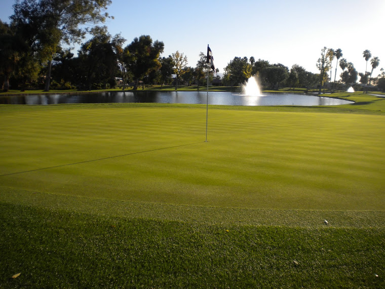 Avondale Golf Course Maintenance Updates: Flowers, Poa Annua & Projects