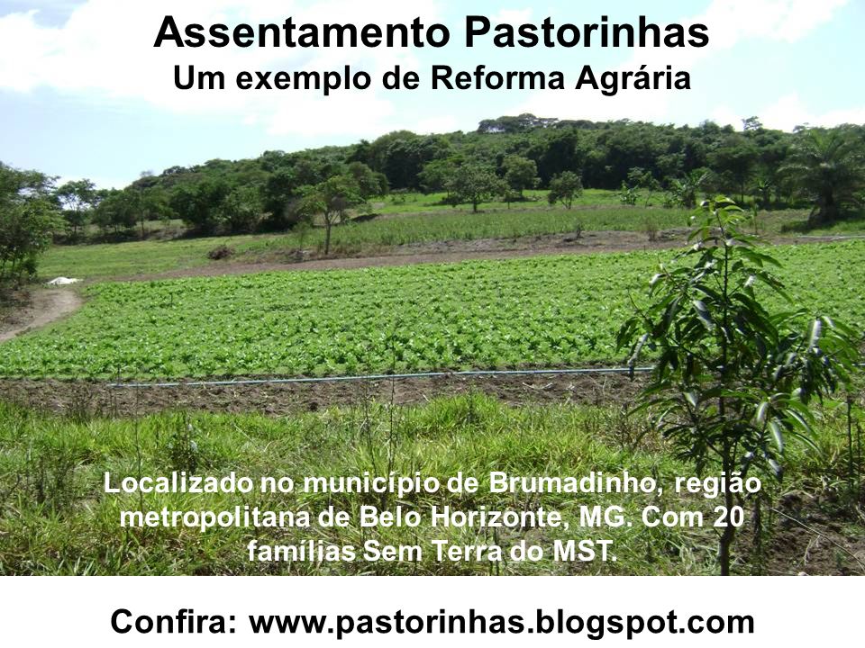 Assentamento em Minas aponta soluções e melhorias no campo