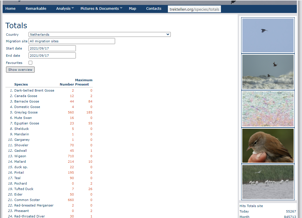 Birding the southern Medway: How to bird the Medway