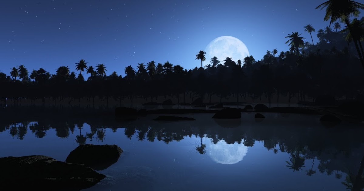 Aprender a viver, revivendo com poemas e histórias