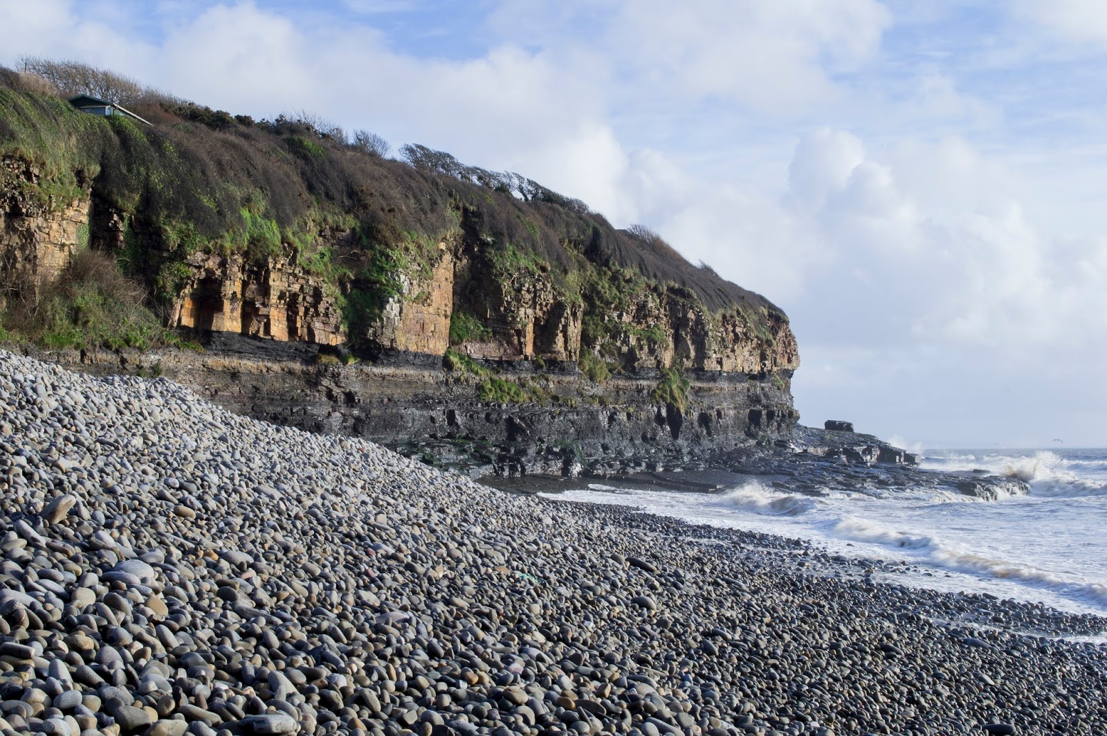 Lewis Mitchell AD6802