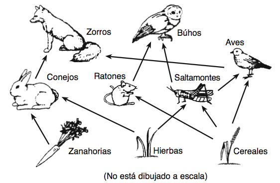 Desarollo Sustentable (Ecología).