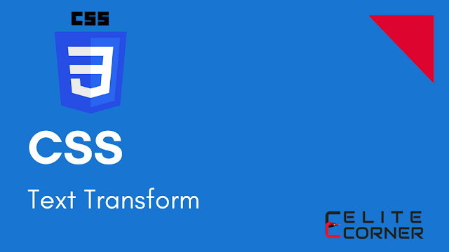 Css Text Transform Property For Uppercase And Lowercase And Titlecase Elite Corner