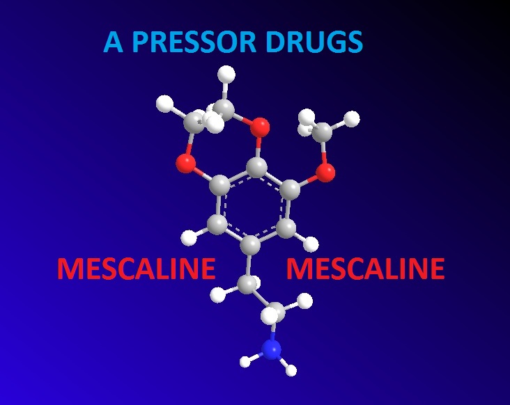 What is mescaline ? - PG.CHEMEASY
