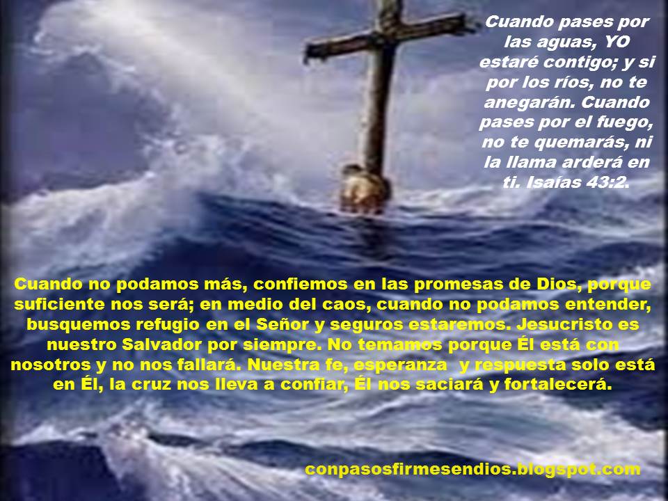 Con pasos firmes en Dios: A PESAR DE TODO, YO CONFÍO EN TI MI DIOS