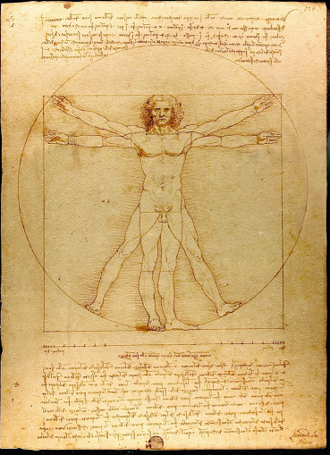 RECURSOS IMSAP: UN GENIO DEL DIBUJO EN LA HISTORIA LEONARDO DA VINCI ...