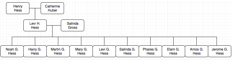 The Hess Family of Lancaster: Salinda Hess