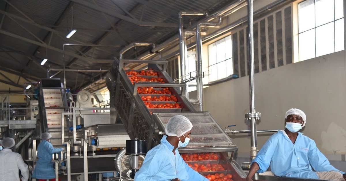 SS Engineers & Consultants