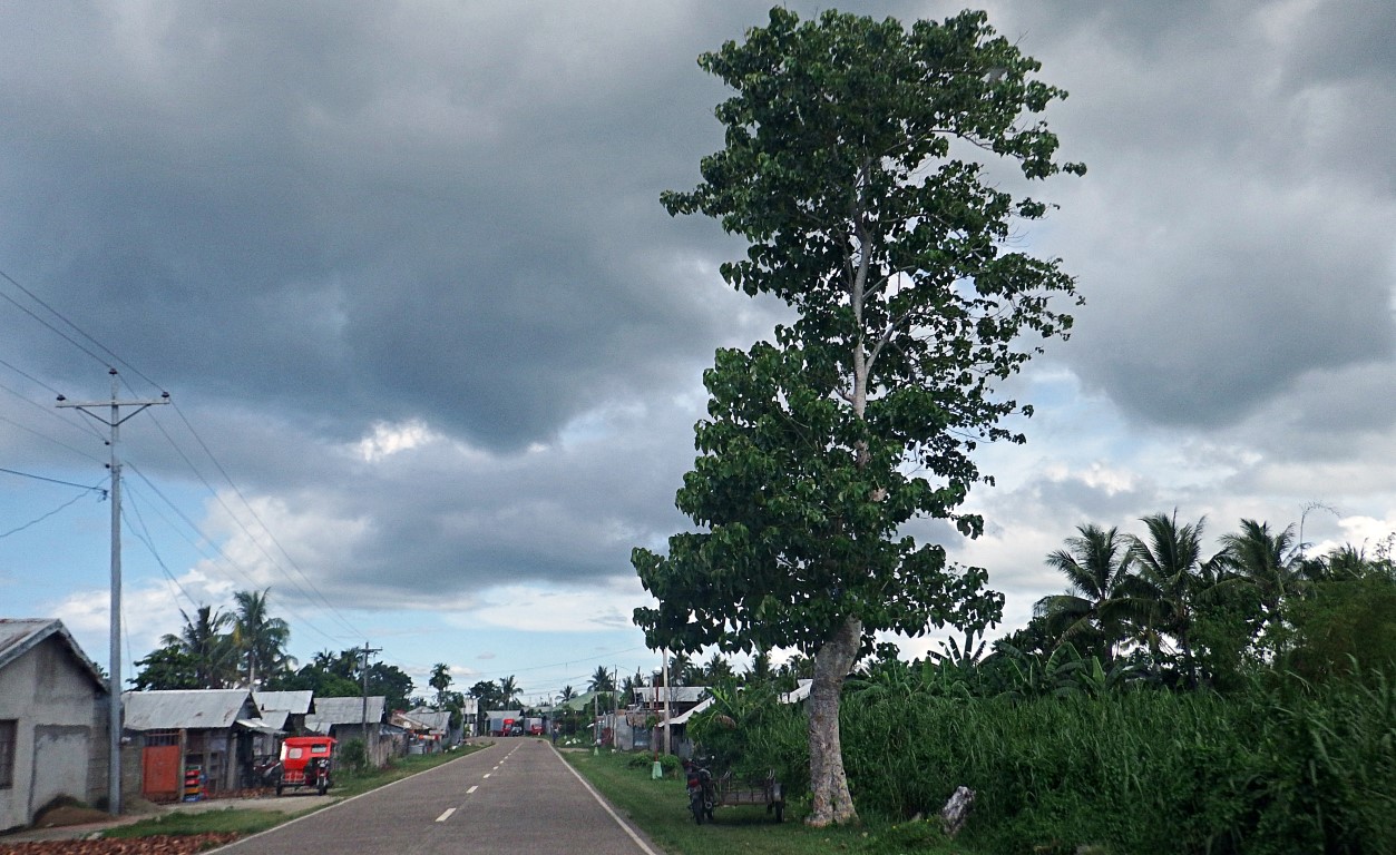 Pambujan Town Proper