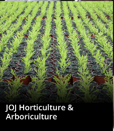 Juniper Publishers| Journal of Horticulture and Arboriculture: The Tear ...