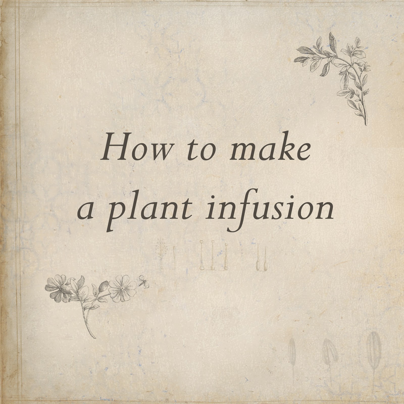 Illuminated Perfume: How to Make a Plant Infusion