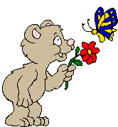 Edyt mackói: Maci rajzok - rajzos macik Oo.oO