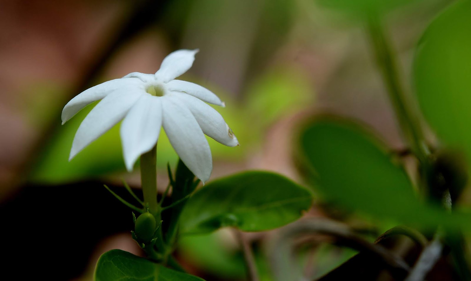 Back of Beyond The NT