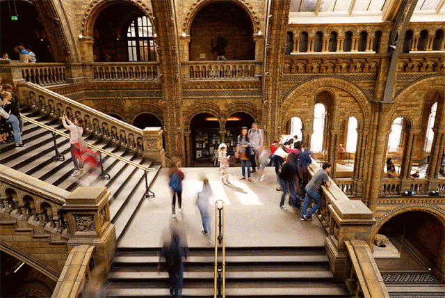 Happening London: The Natural History Museum in GIFs