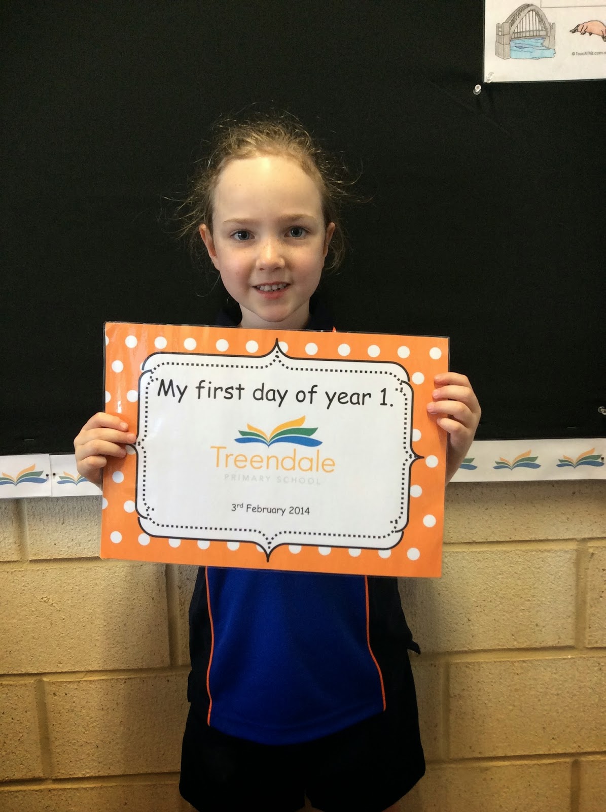 Treendale Primary School Room 8: May 2014