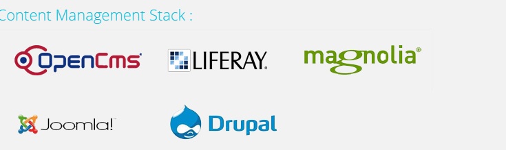 Aspire Software Offshore Liferay Enterprise Mobility Big Data Services Java Aspire Software Offshore Liferay Enterprise Mobility Big Data Services Java