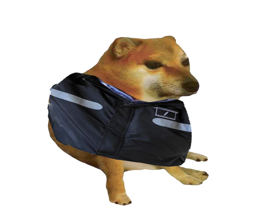 Cheems conductor transmilenio