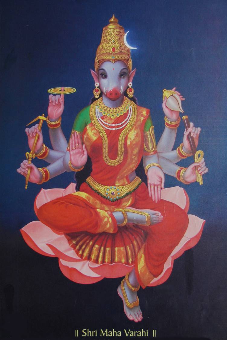 SREENAGARA SHOBANAM: SRI VARAHI - 5th of the SAPTHA MATHAS.