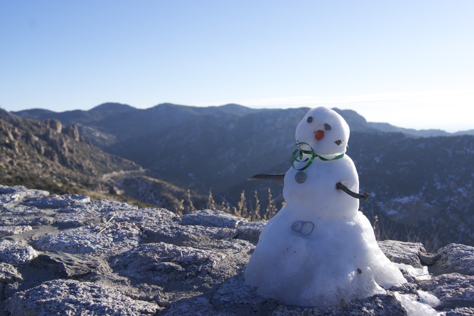 Birding Is Fun!: When Life Gives You Lemmons (or nothing but Junc)...