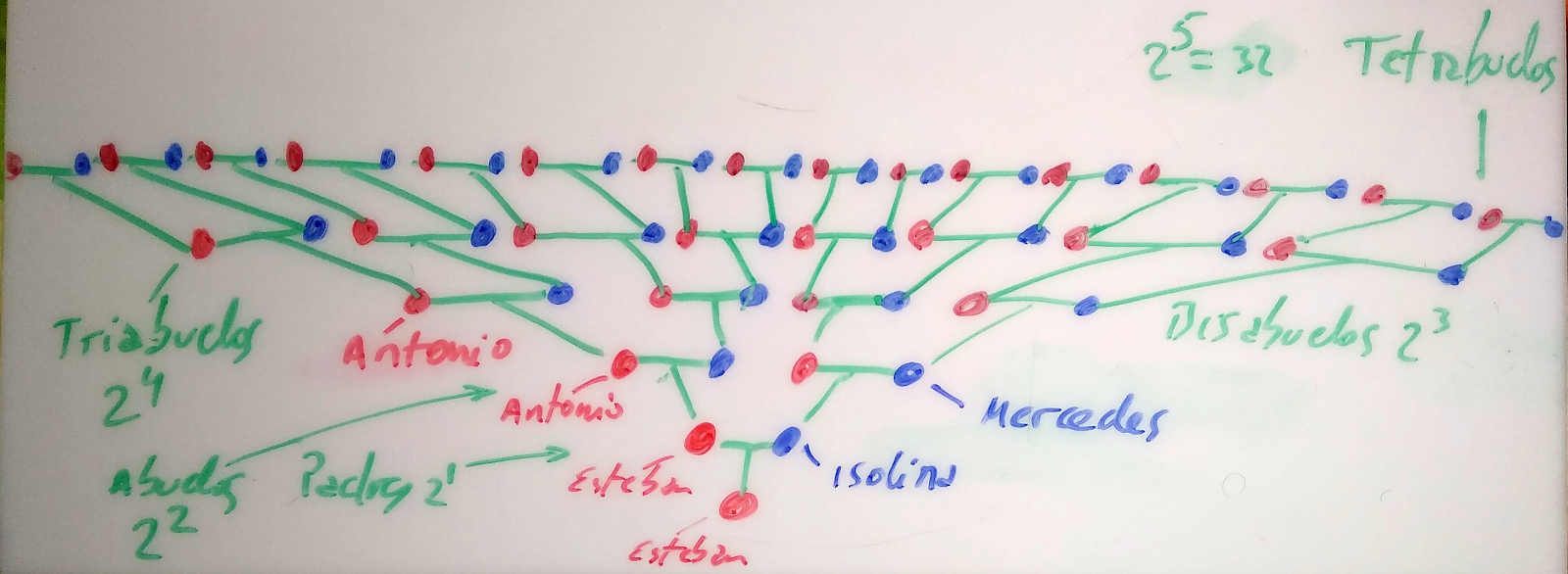 Actuaciencia: julio 2019